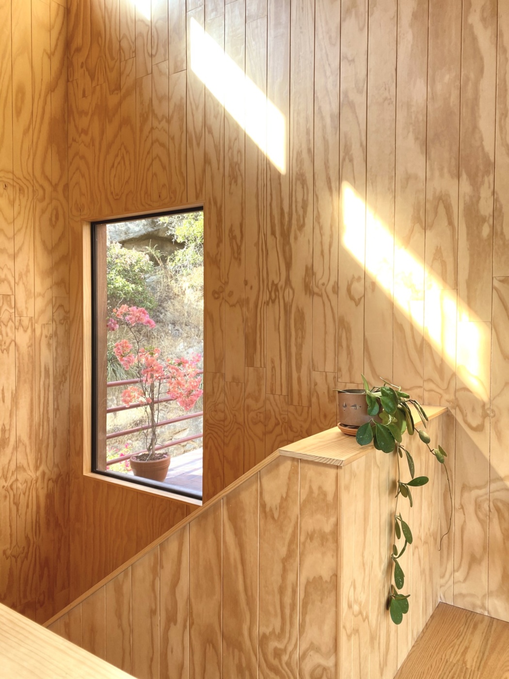 Unique Windows - Topanga Style